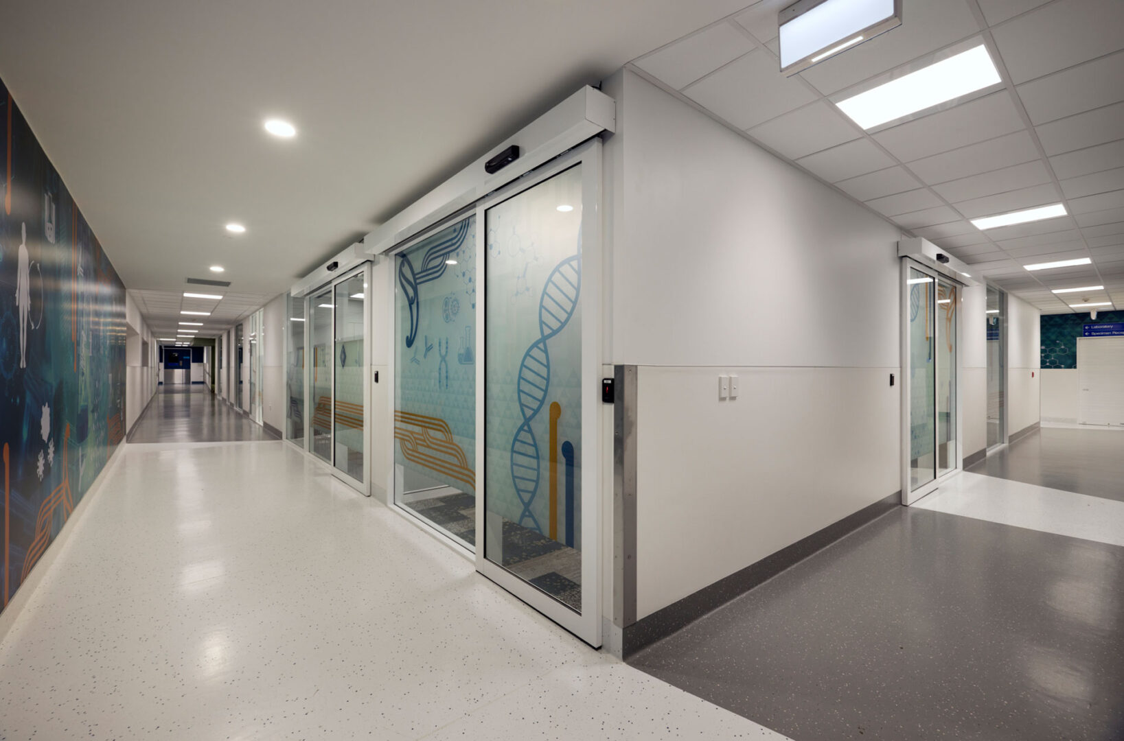 The Molecular Biology Laboratory - Fosters